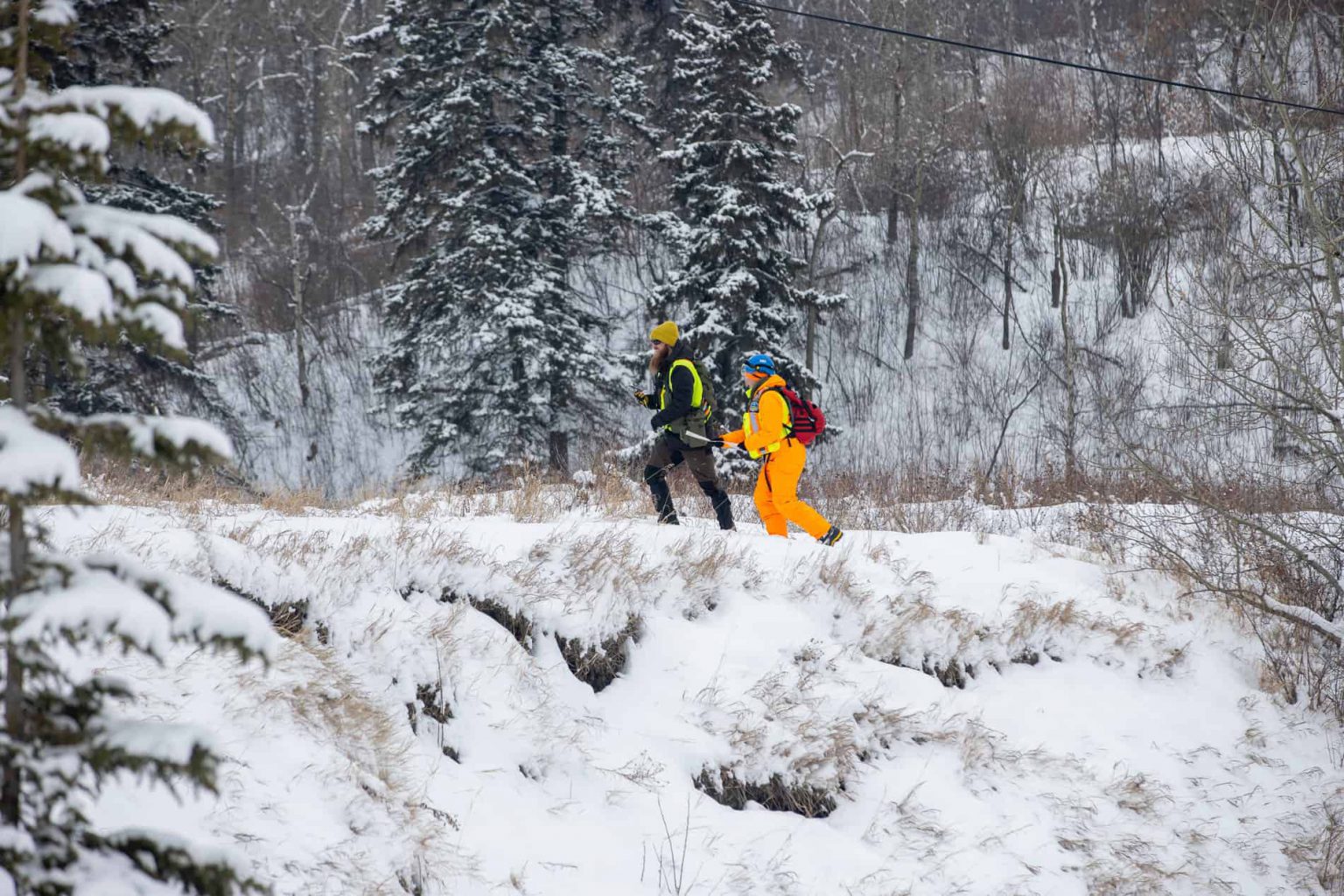 Contact - Search and Rescue Alberta
