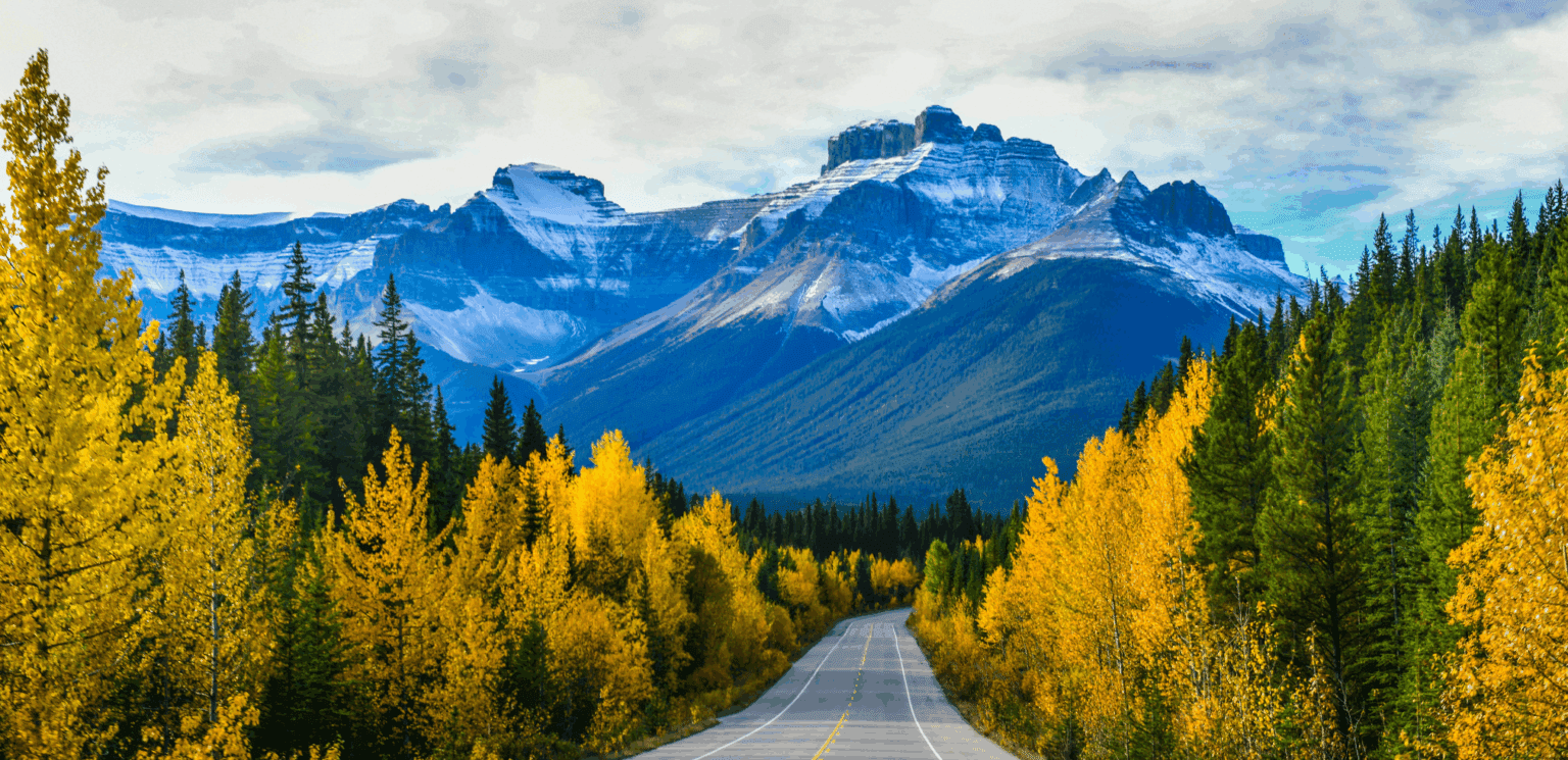 Board of Directors - Search and Rescue Alberta