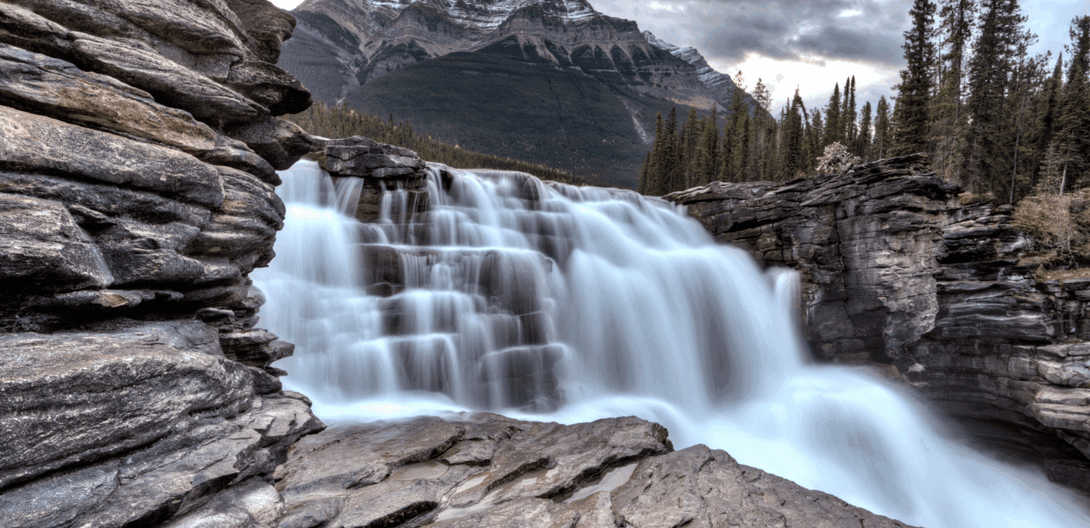 Code of Conduct and Values - Search and Rescue Alberta