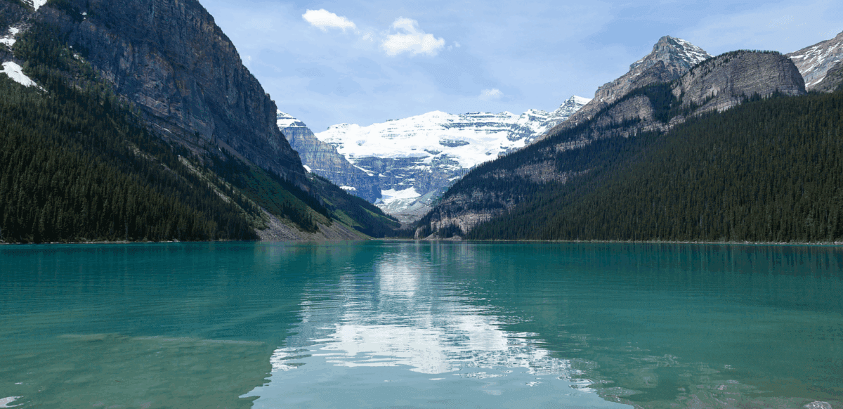 Supporters - Search and Rescue Alberta