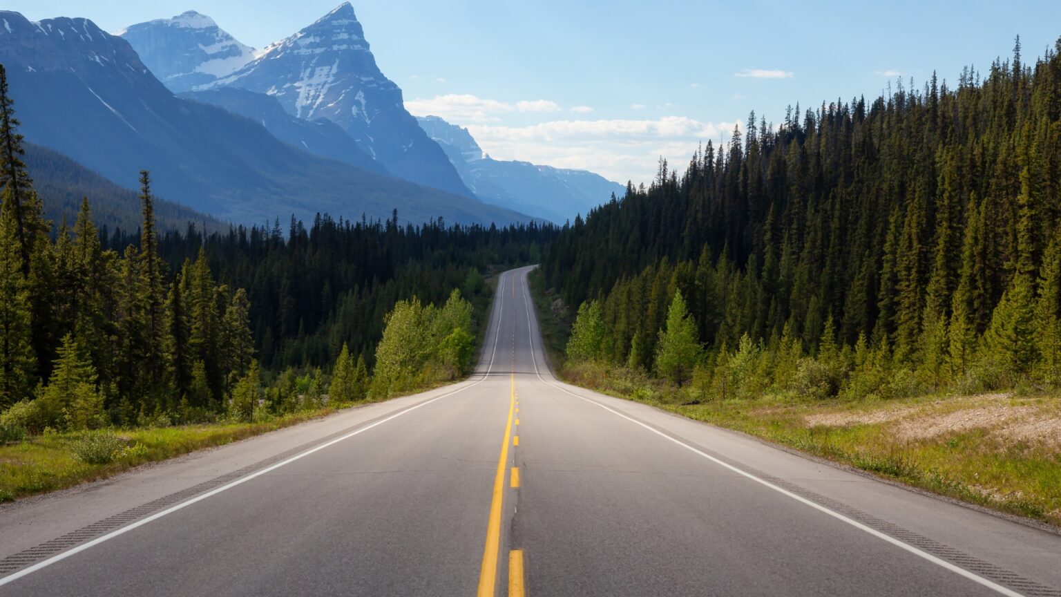 Contact - Search and Rescue Alberta