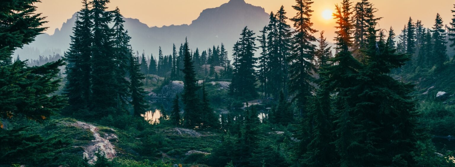 Land Recognition - Search and Rescue Alberta